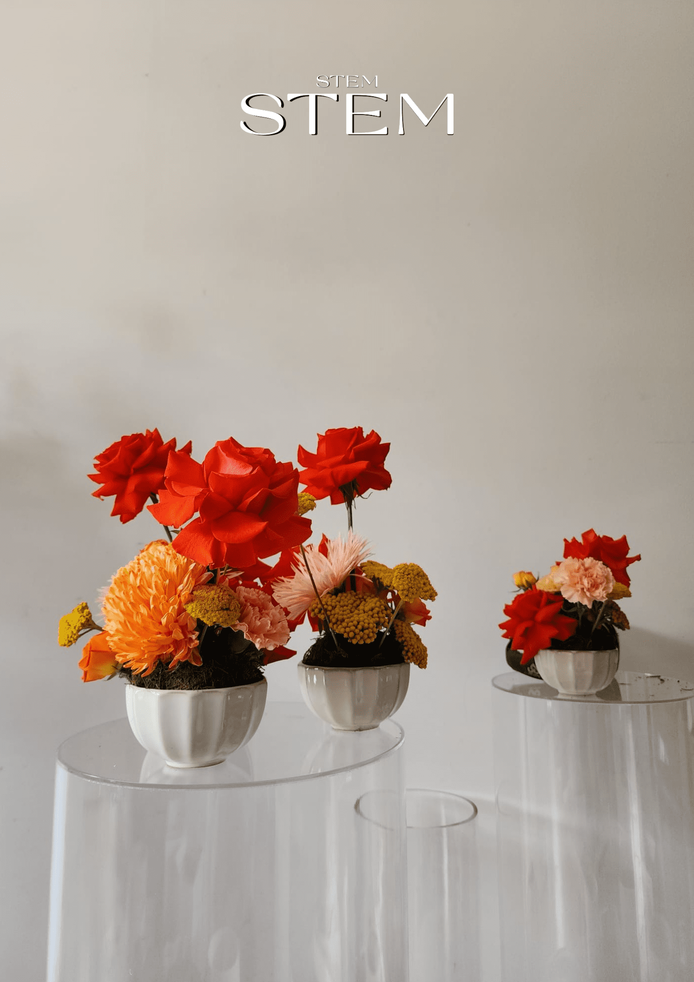 Flowers That Pop for 2026 | STEM DESIGN | Event Florist